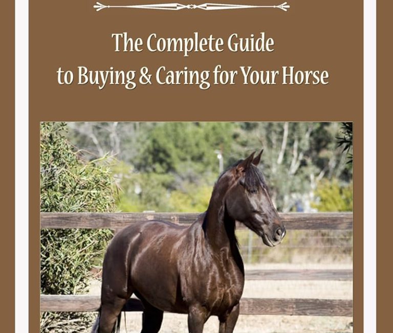 A Comprehensive Guide to Owning and Caring for Horses - Animal Direct News